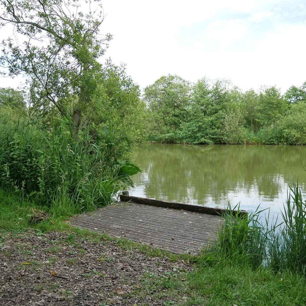 Heath Lake - Avalon Fisheries