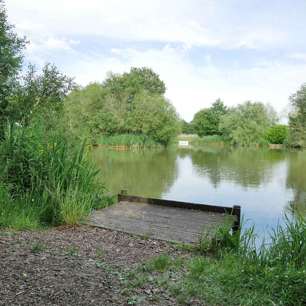 Heath Lake - Avalon Fisheries