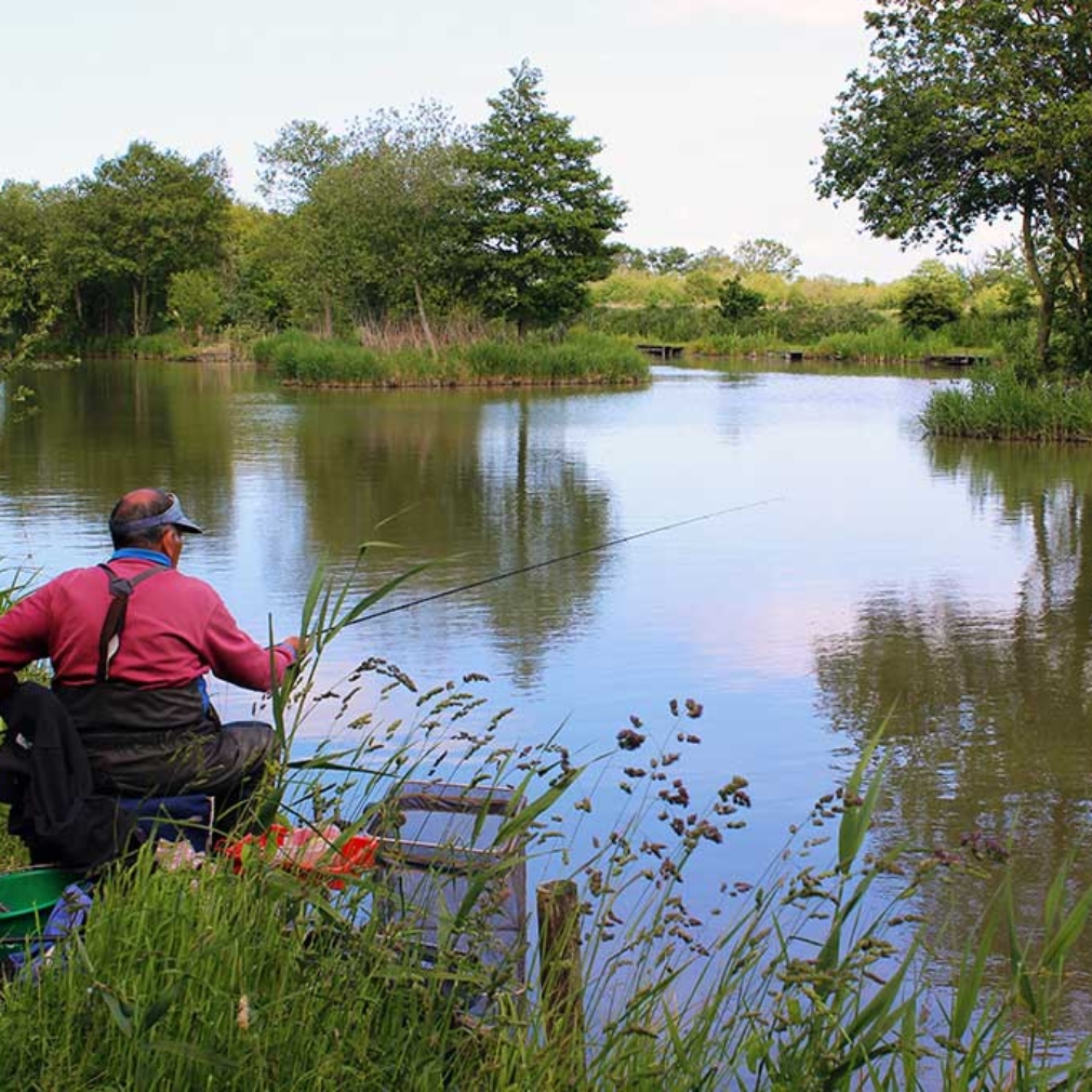 Moors Lake - Avalon Fisheries