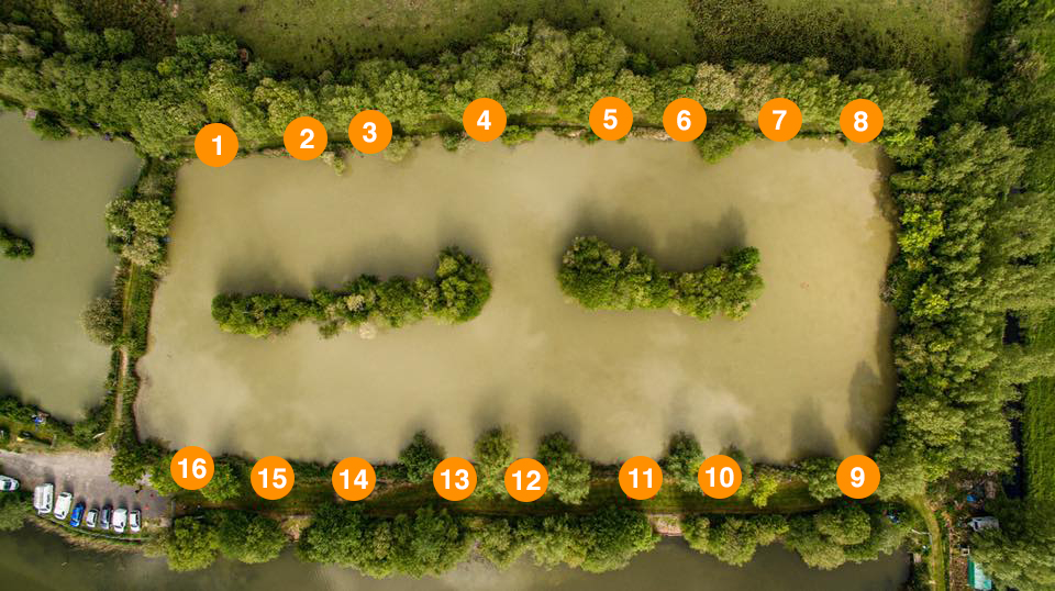 Heath Lake - Avalon Fisheries